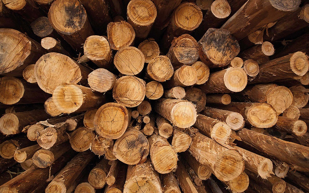 Sustainability at MAX Automation